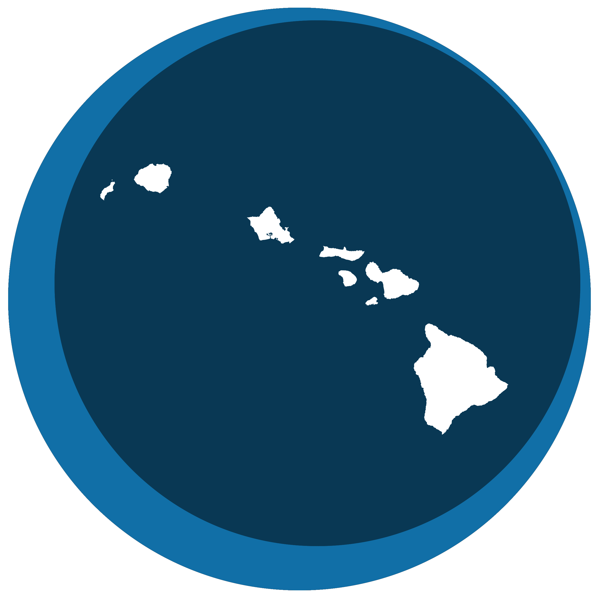 Insurance for Nonprofits in Hawaii | Nonprofits Insurance Alliance